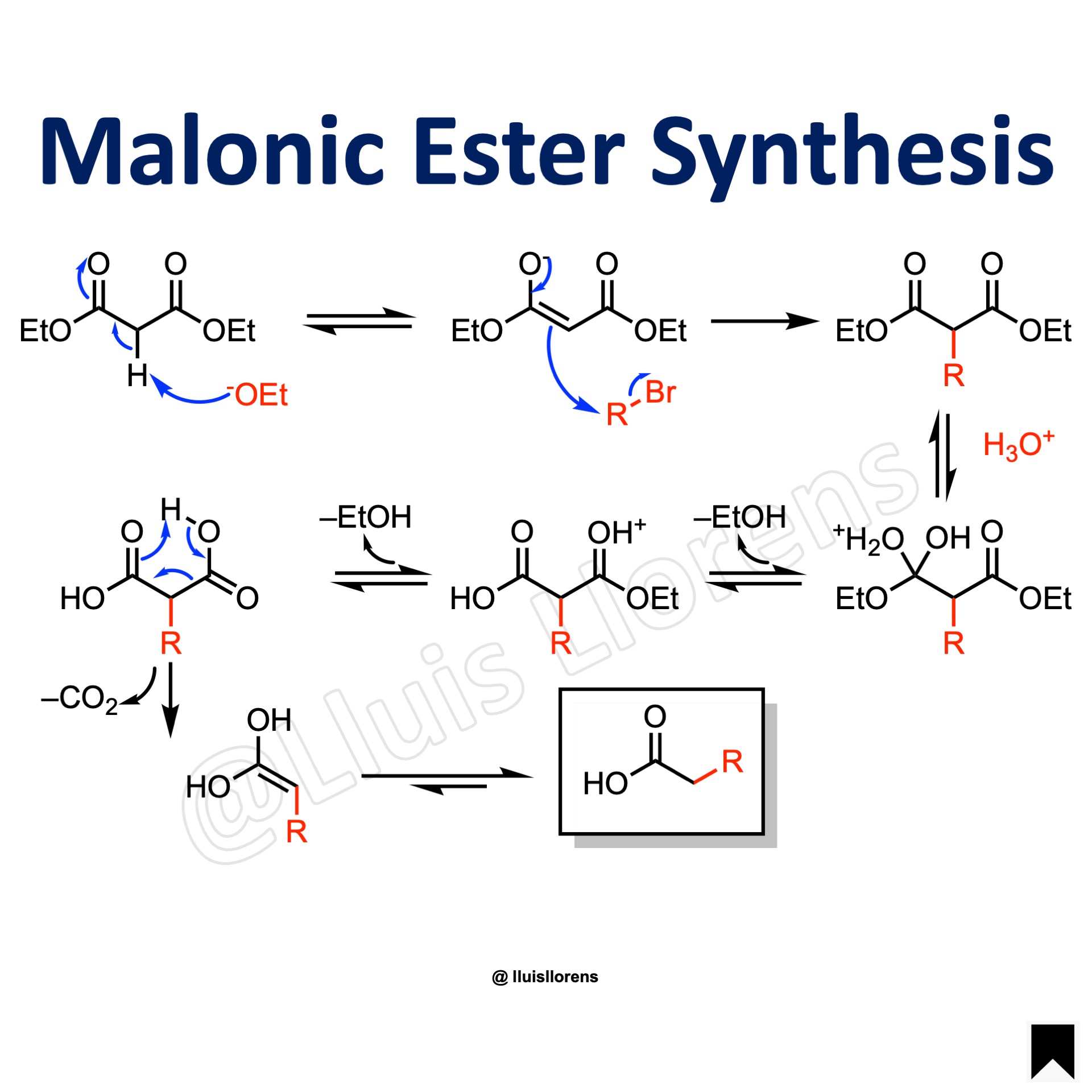 Malonic Synthesis Nrochemistry Malonic Synthesis Nrochemistry