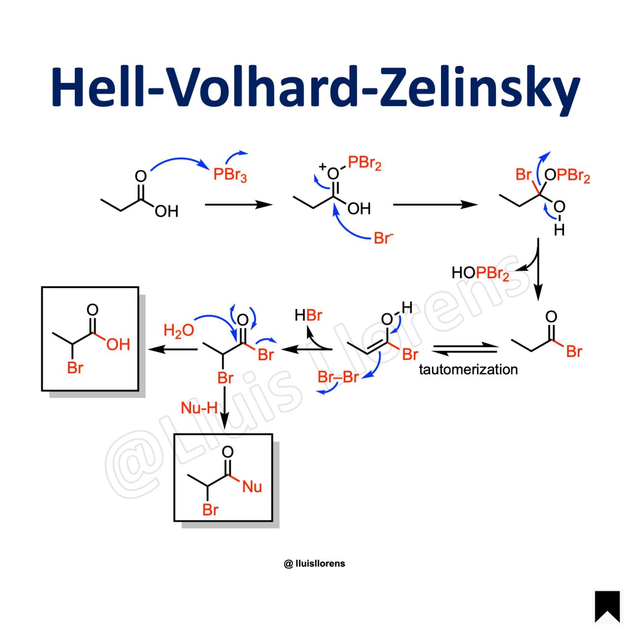 Hell-Volhard-Zelinsky Reaction | NROChemistry